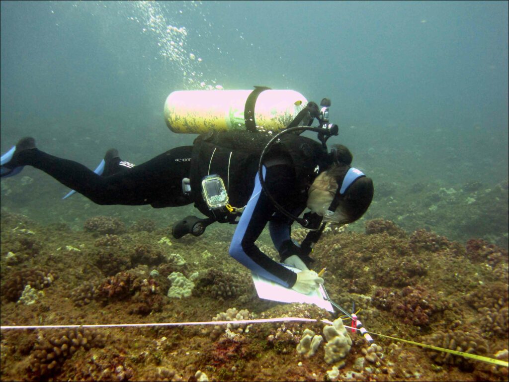 line-transect – Marine Science Department, Chulalongkorn University